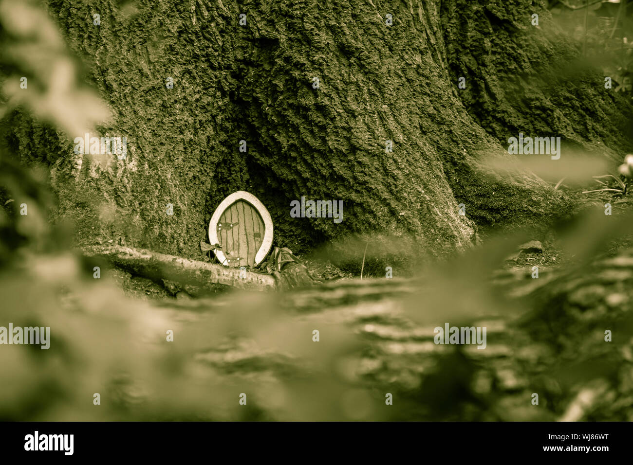 Tree with doorway hi-res stock photography and images - Alamy