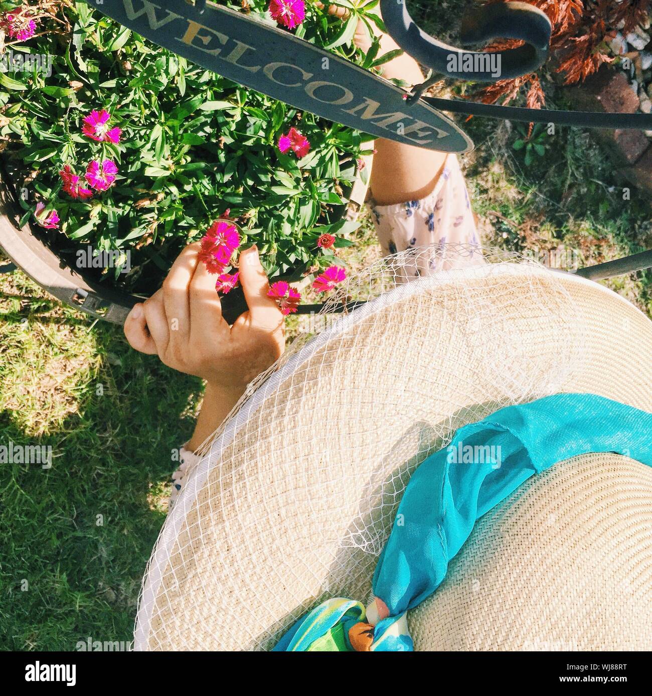 Woman plucking hi-res stock photography and images - Alamy