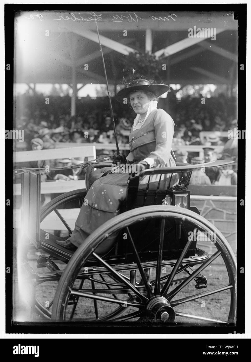 Involvement horse Black and White Stock Photos & Images - Alamy