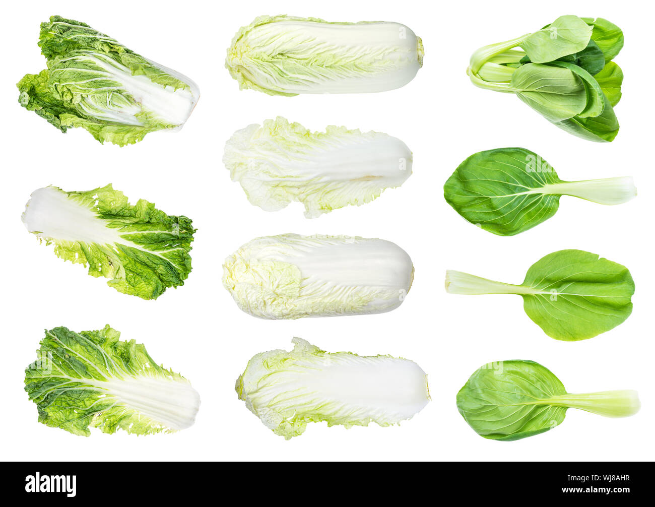 Brassica rapa subsp chinensis Cut Out Stock Images & Pictures - Alamy