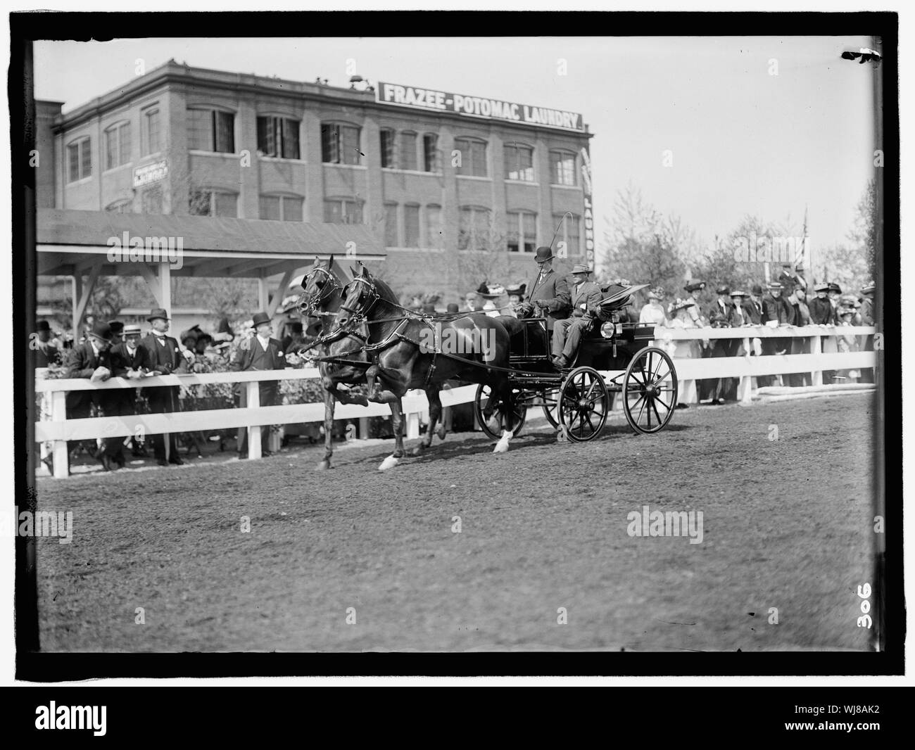 HORSE SHOWS. TEAMS Stock Photo - Alamy