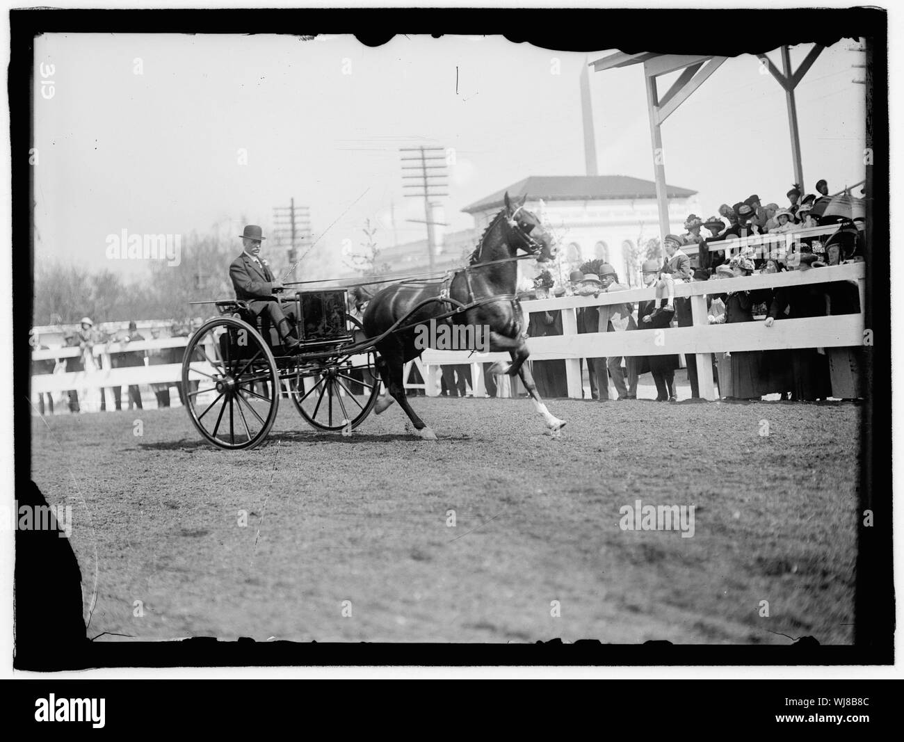 Driving horse race Black and White Stock Photos & Images - Alamy