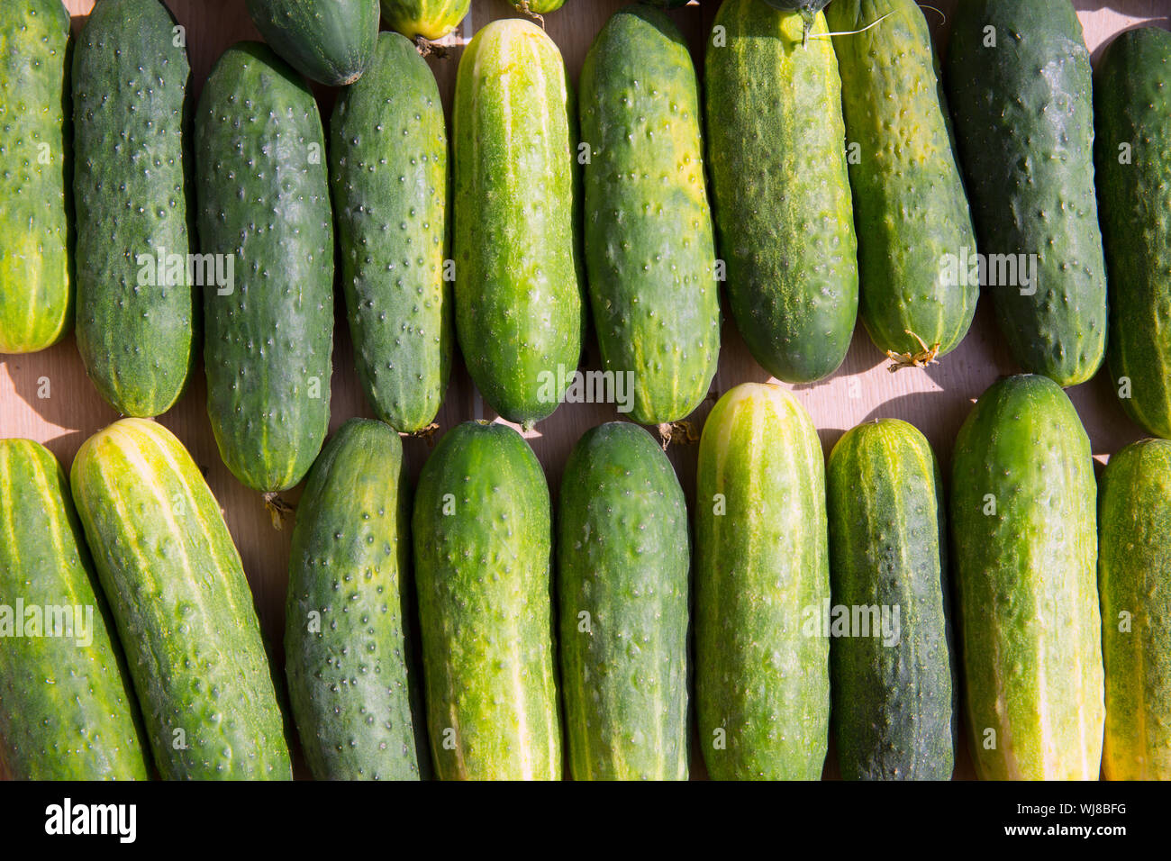 Cucumbers in a row at the market place outdoor in Mediterranean Stock ...