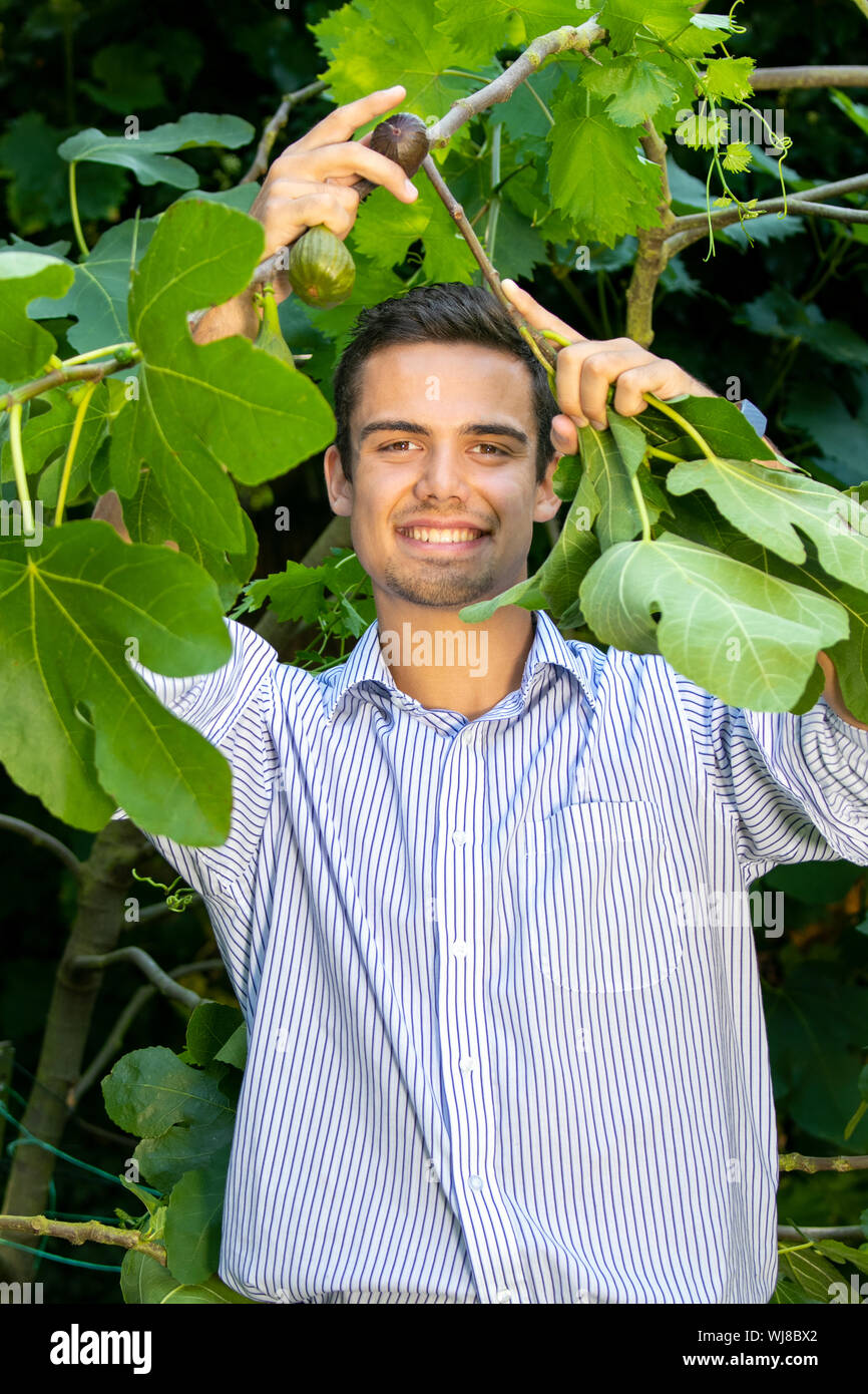 Planting of figs hi-res stock photography and images - Alamy