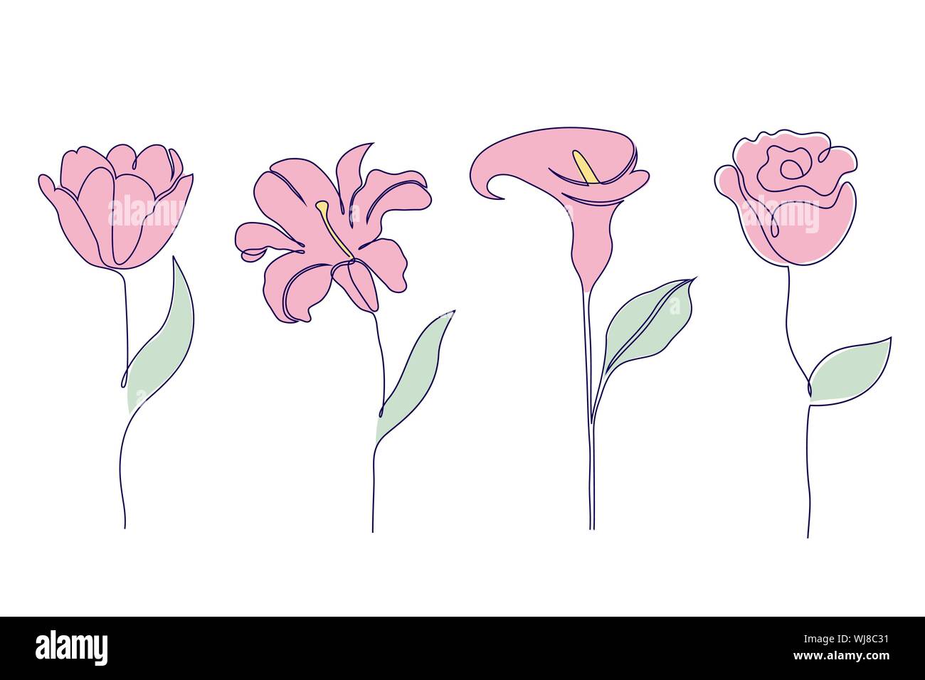 Vector rose flowers continuous Cut Out Stock Images & Pictures - Alamy