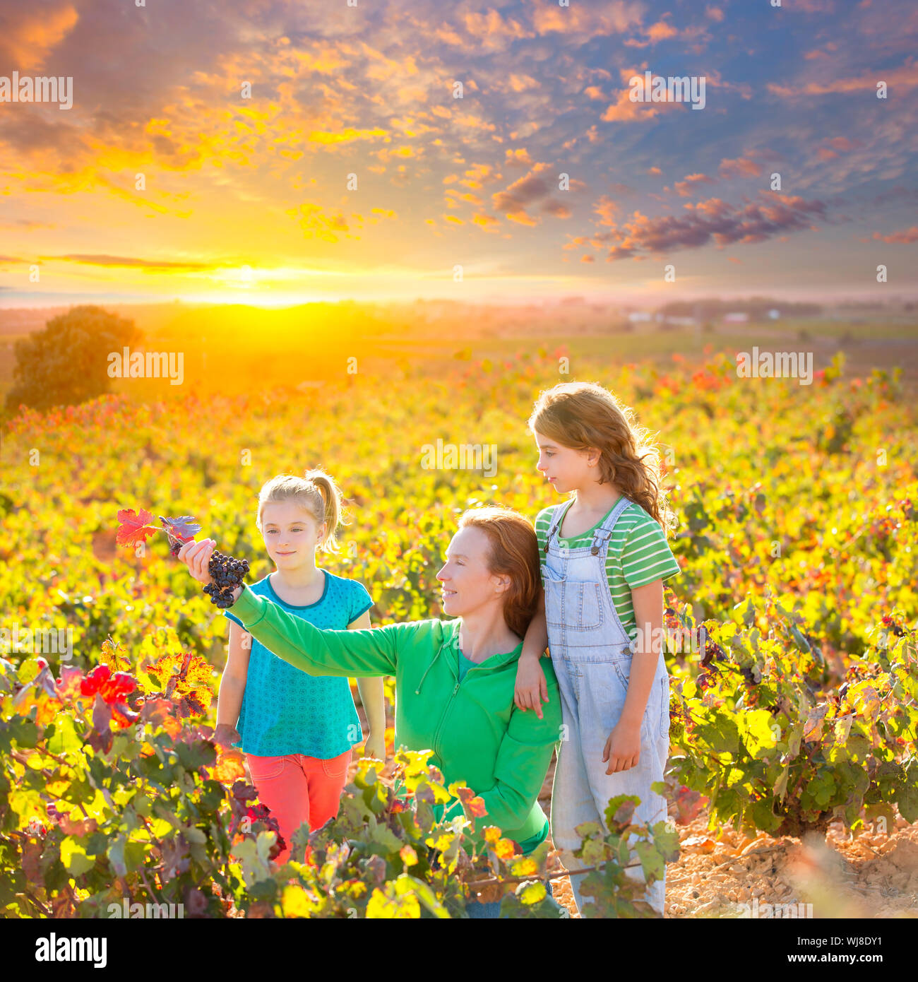 Vineyard spain children hi-res stock photography and images - Alamy