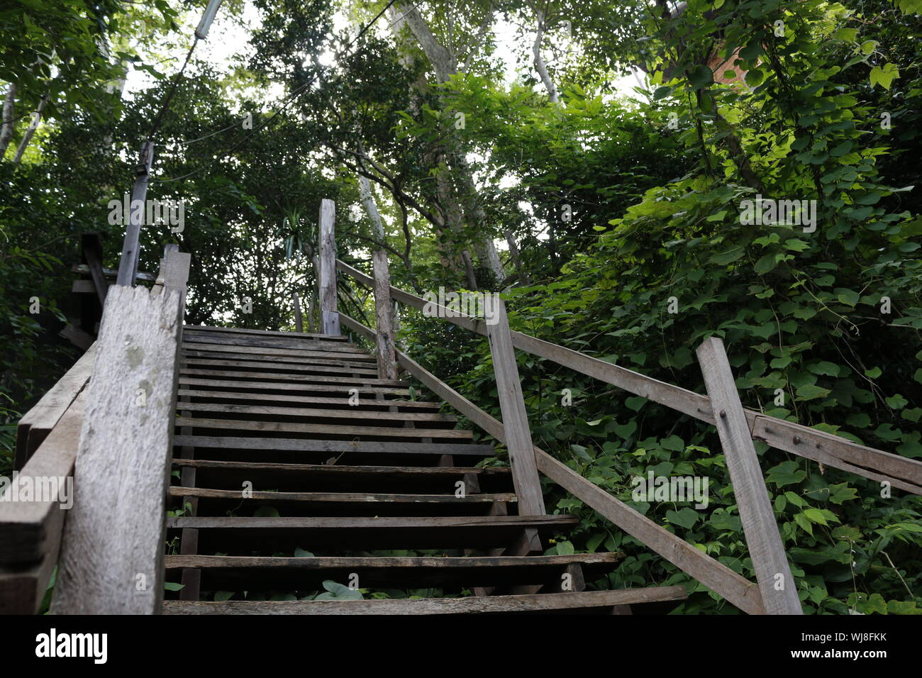 Wooden stairs steps hi-res stock photography and images - Alamy