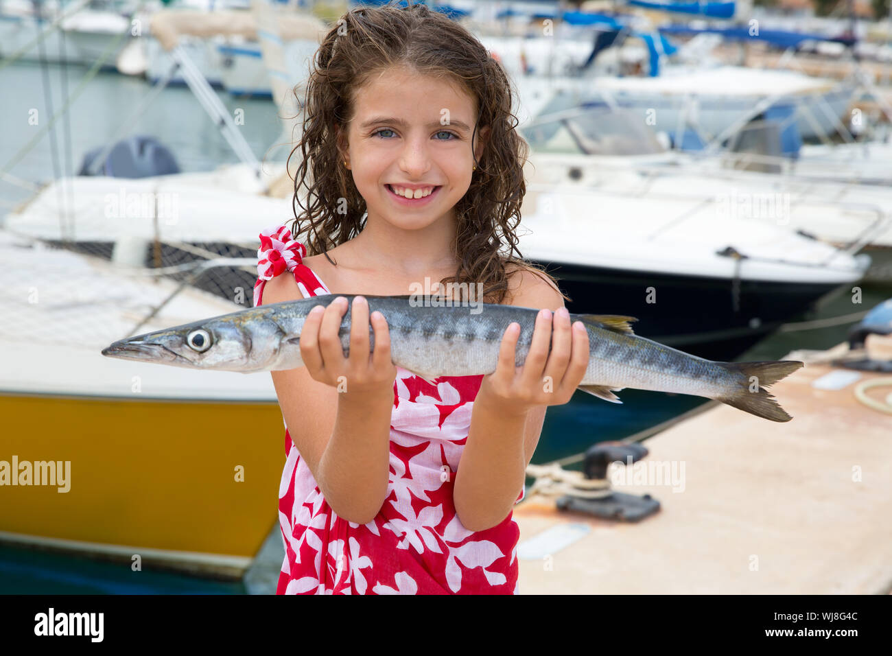 Baby Great Barracuda