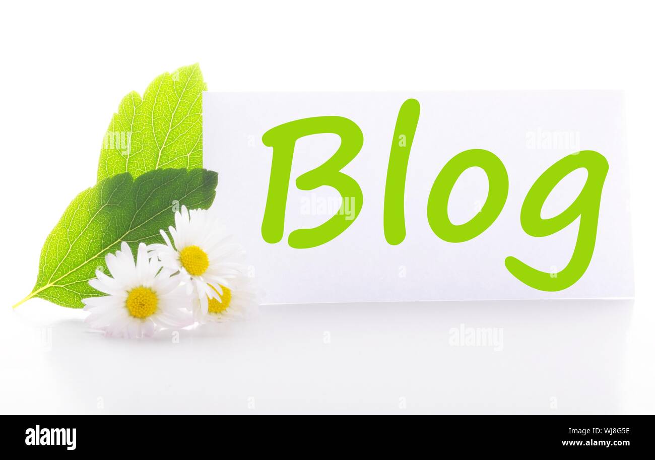blog concept with word on nature still life Stock Photo - Alamy