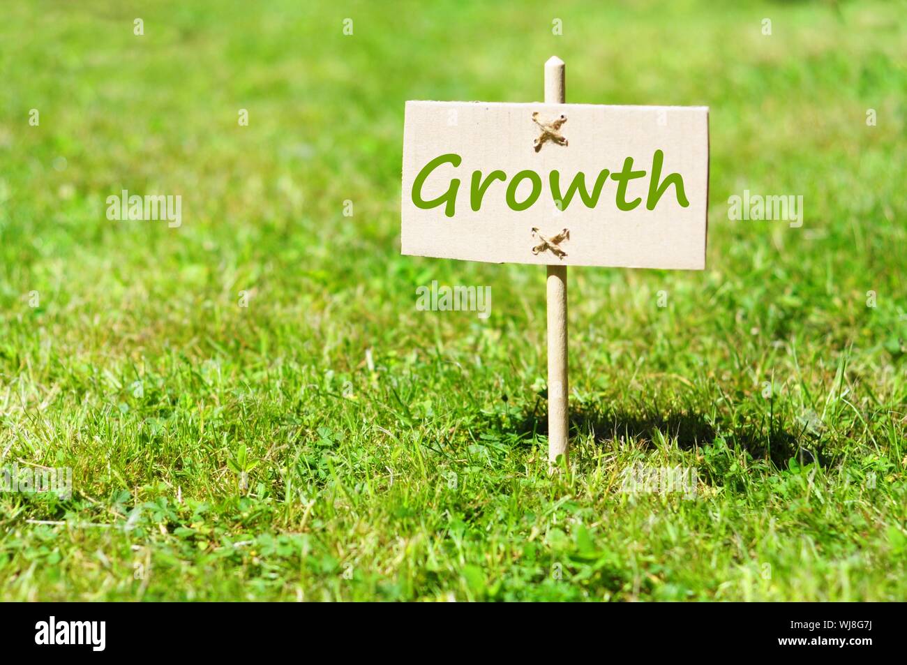 growth concept with word on nature still life Stock Photo - Alamy