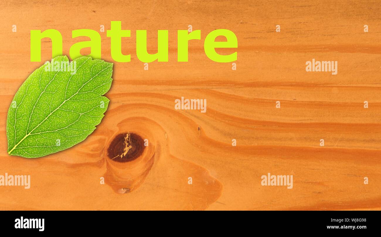 nature concept with word on nature still life Stock Photo - Alamy