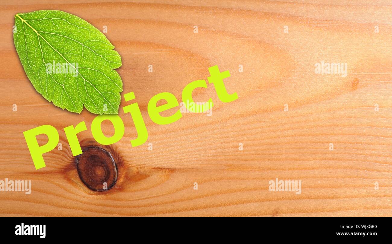 project concept with word on nature still life Stock Photo - Alamy