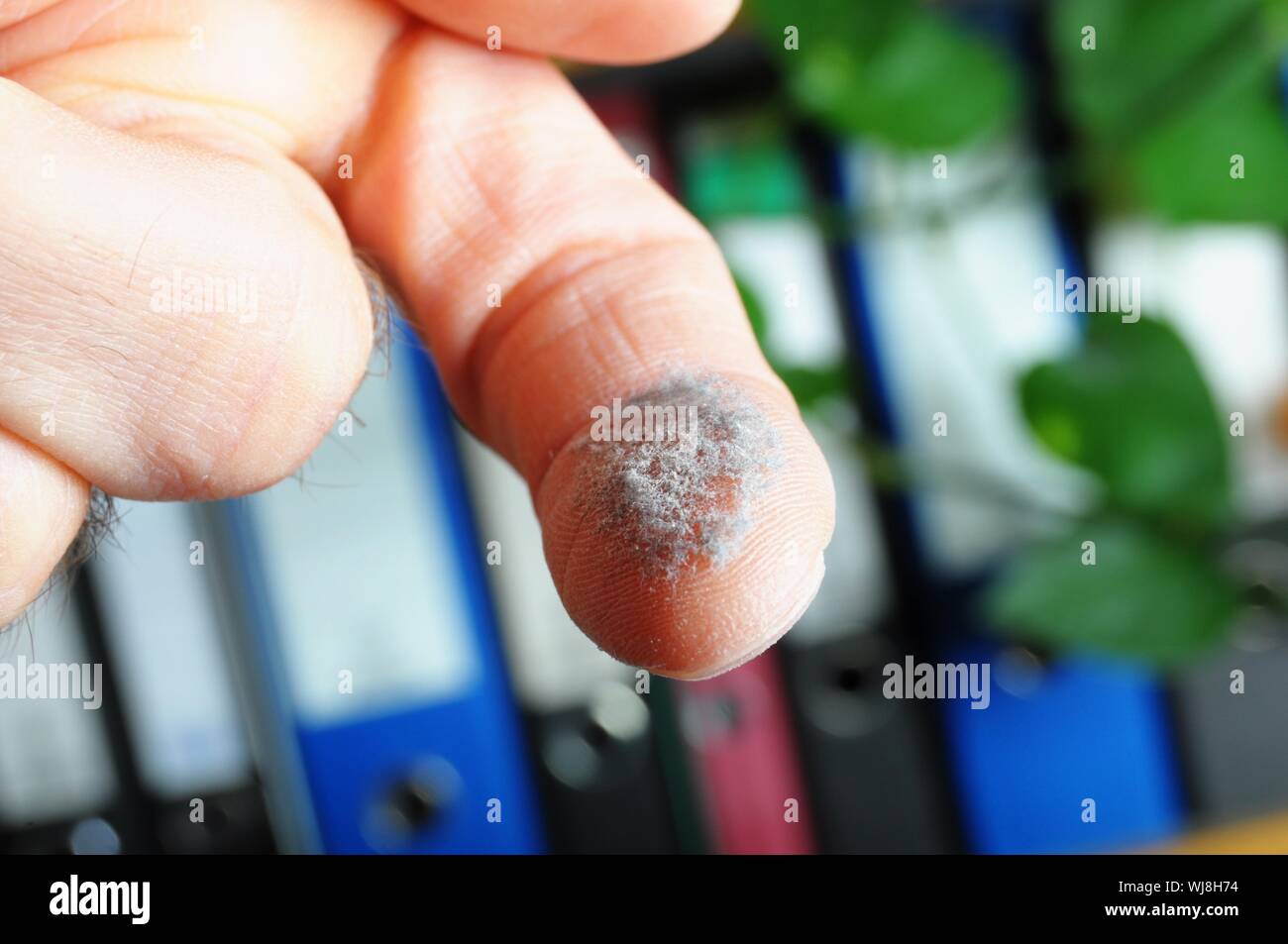 Home Maintance High Resolution Stock Photography and Images - Alamy