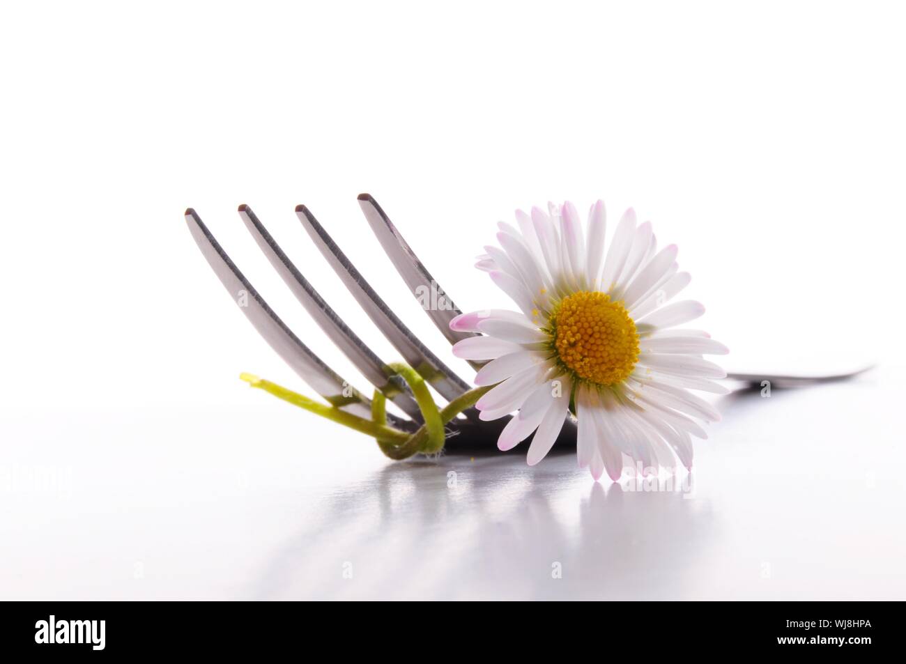 flower and fork isolated on a white background with copyspace showing ...