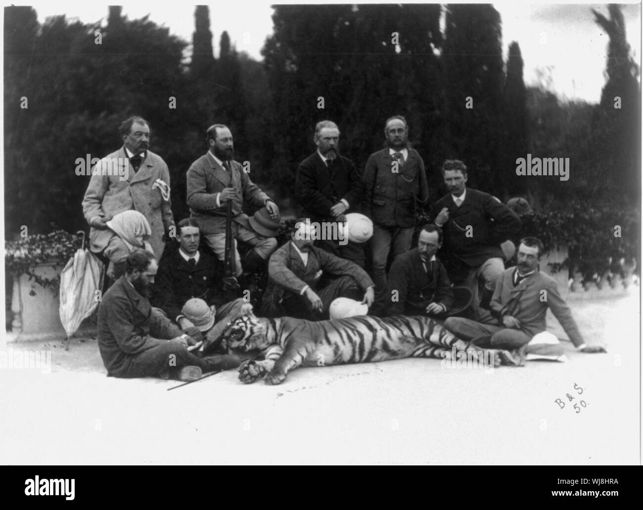 H.R.H. the Prince of Wales and party, with first tiger killed by H.R.H ...