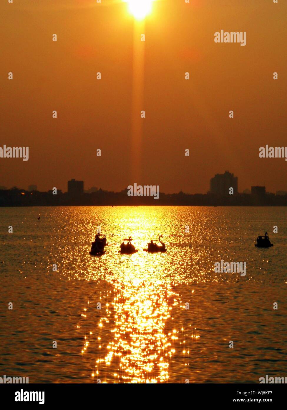 Duck shaped boat hi-res stock photography and images - Alamy