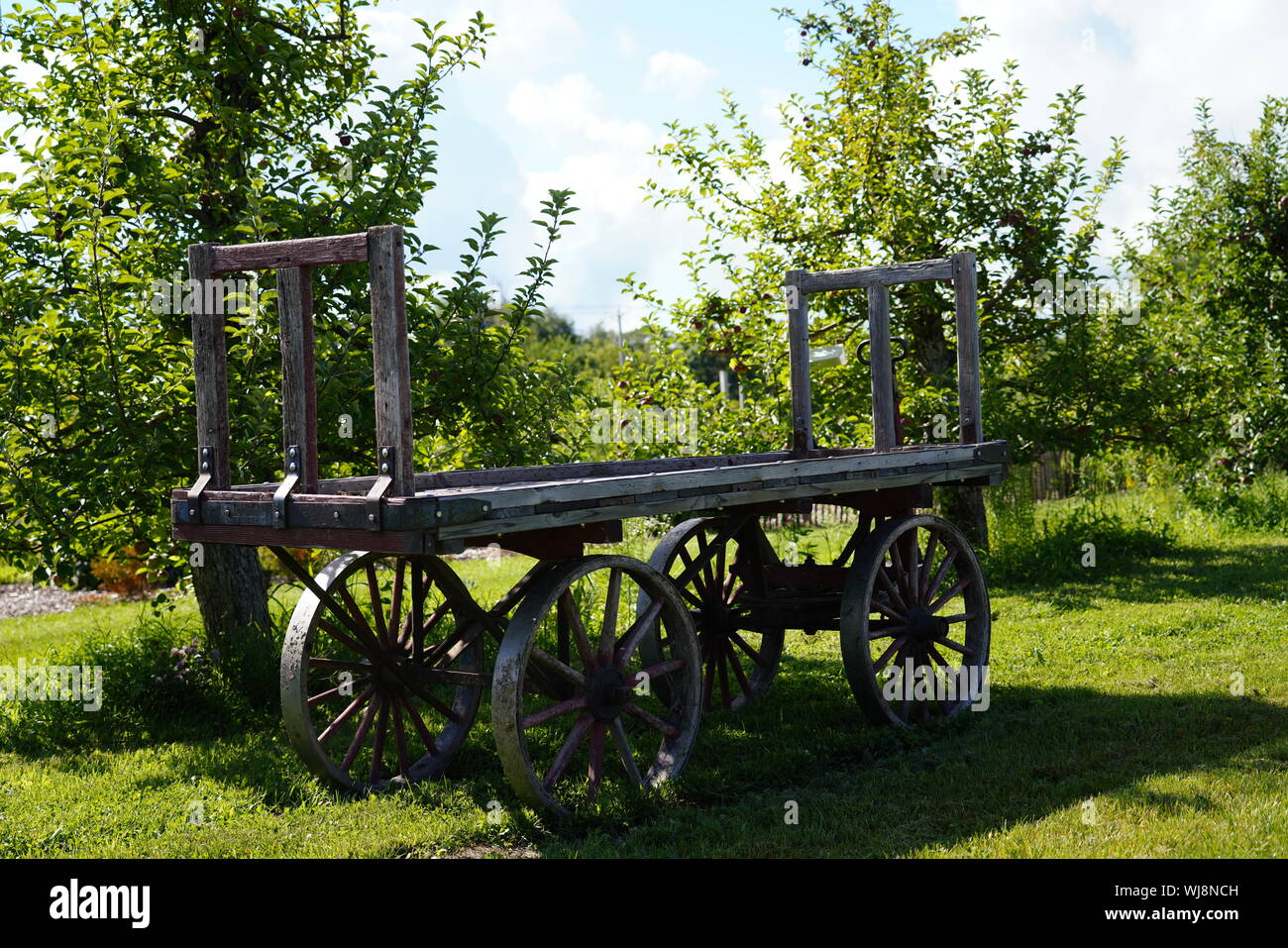 carriage, wooden, old, wood, transportation, vintage, transport, wheel ...
