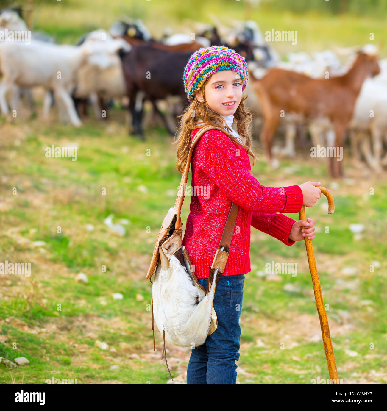 Kid girl shepherdess happy with flock of sheep and wooden stick in ...