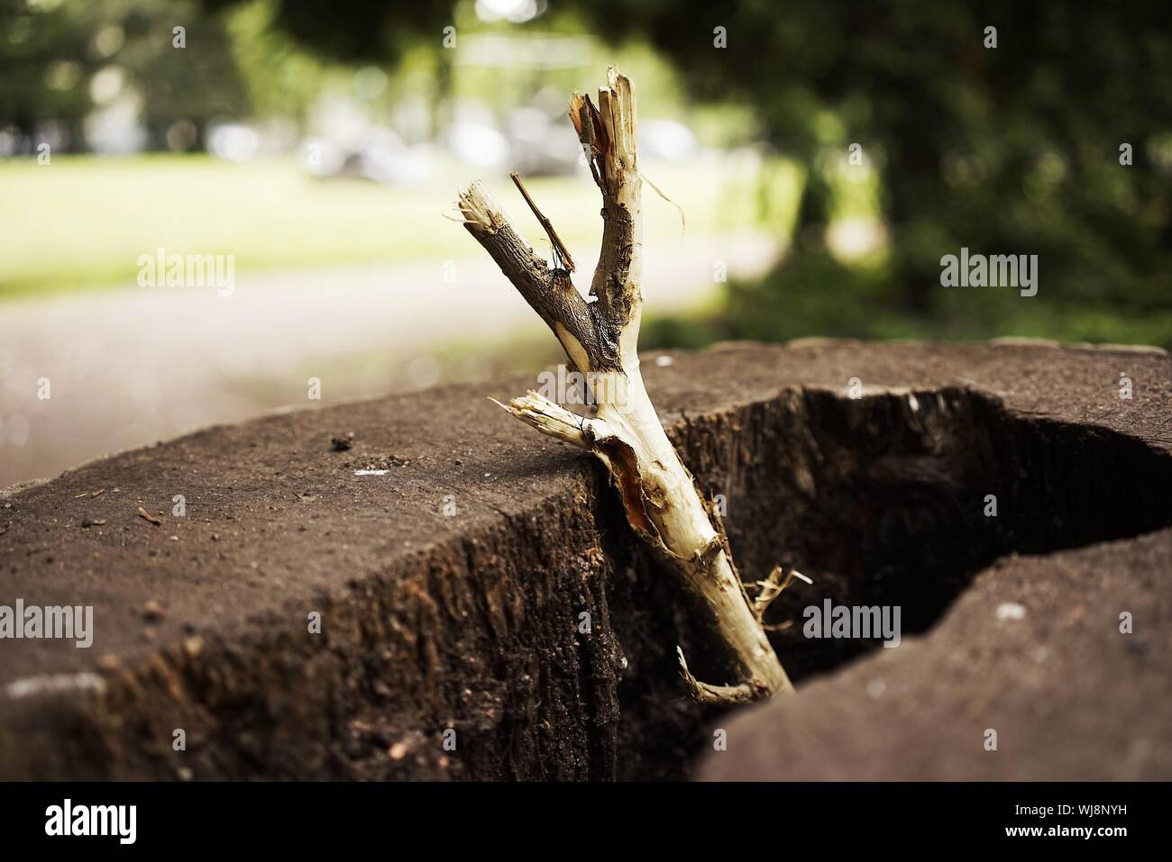 Leaning in hi-res stock photography and images - Alamy