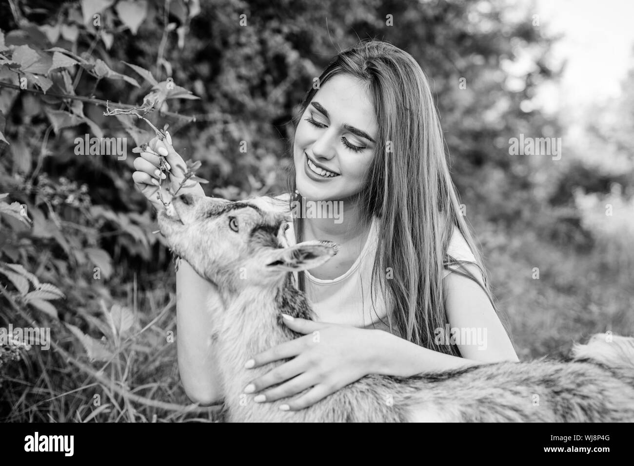 Protecting farm animals Black and White Stock Photos & Images - Alamy