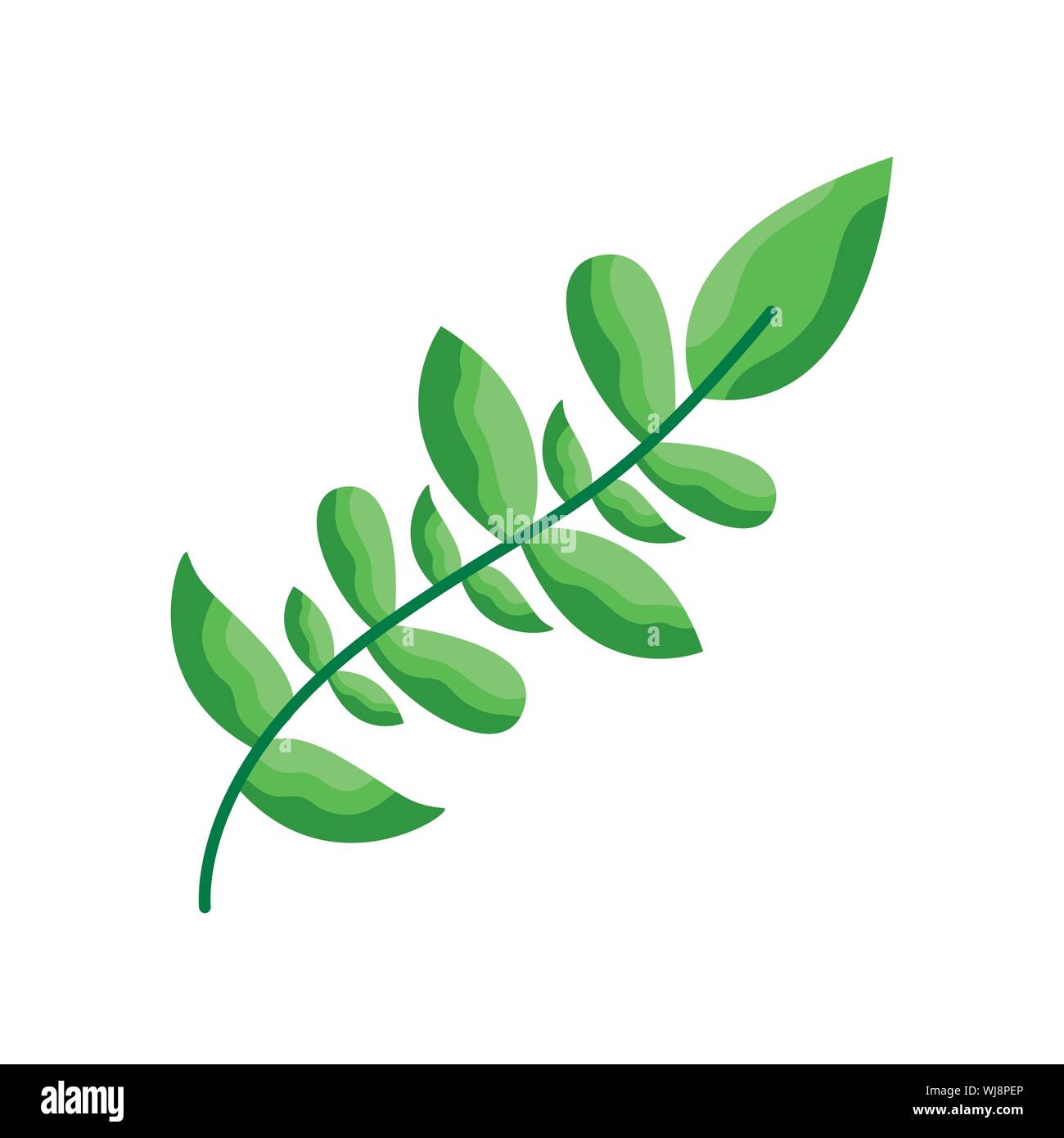 Isolated leaves vector design Stock Vector Image & Art - Alamy