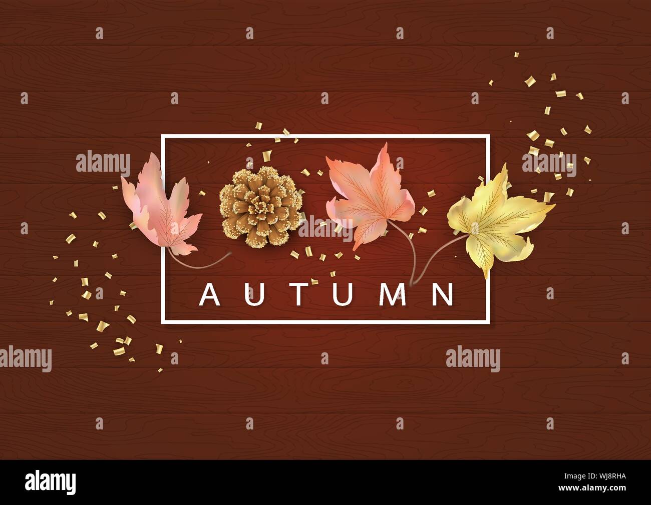 Autumn cone Stock Vector Images - Alamy