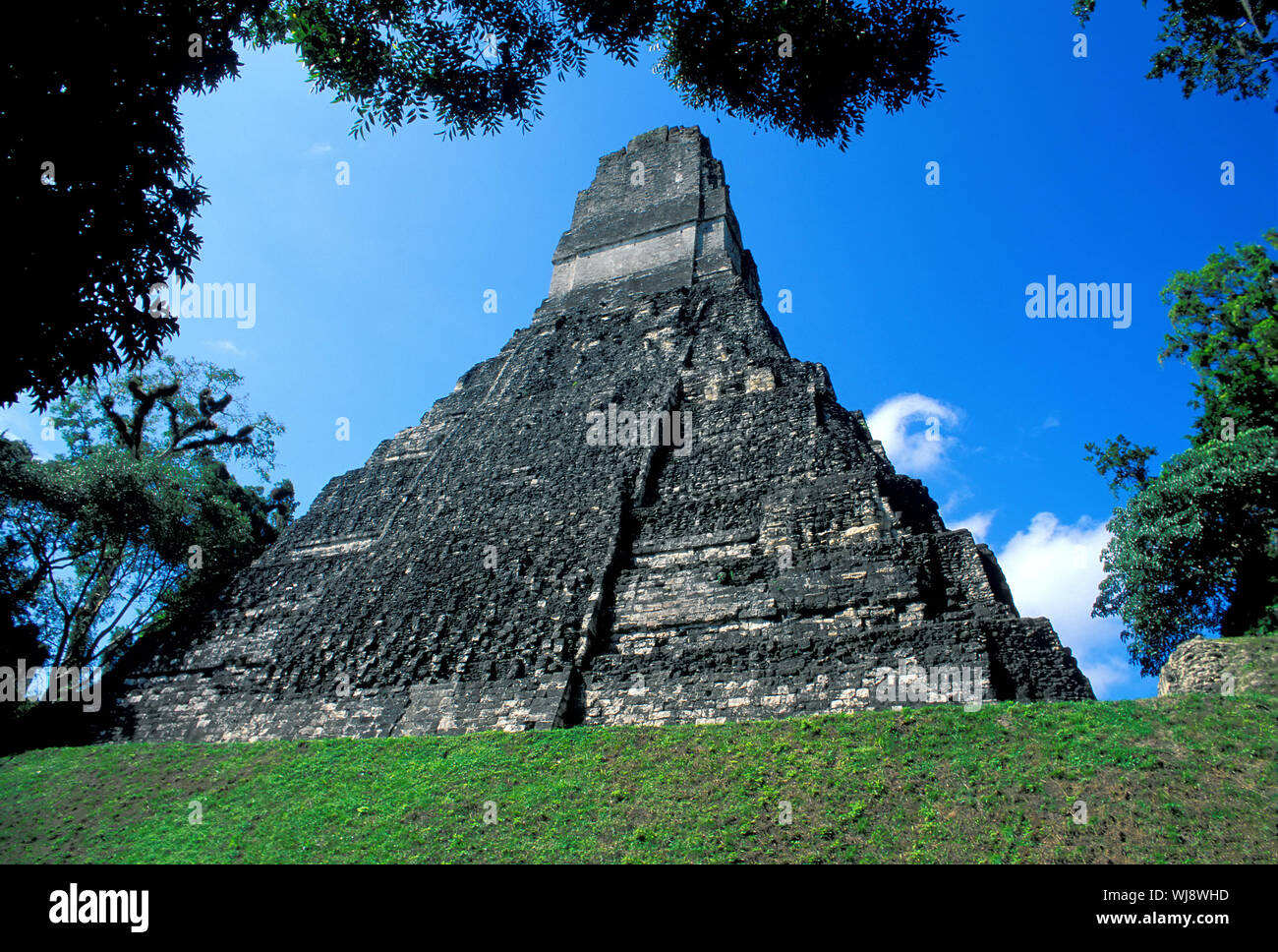 Temple I, Tikal Stock Photo - Alamy