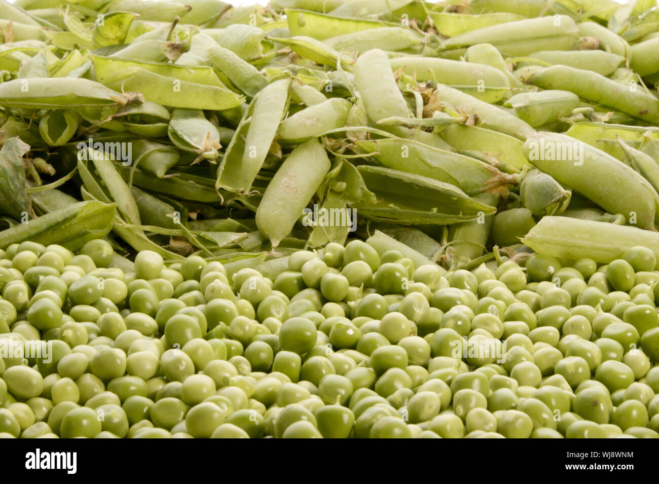 fresh peas from the garden ready for cooking Stock Photo - Alamy