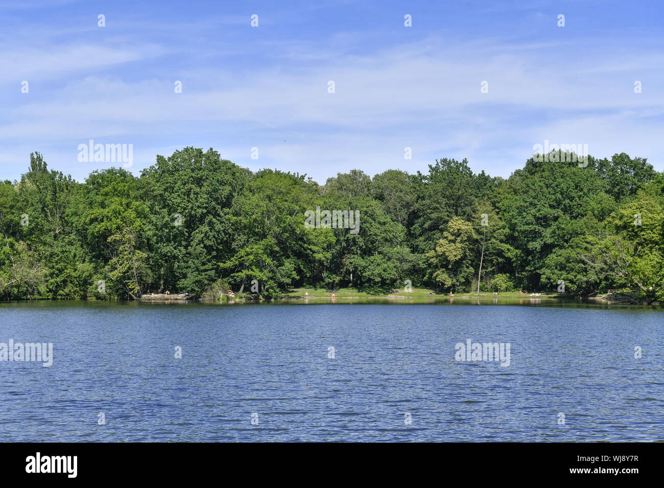 Bath lake, bath pond, Berlin, Germany, carp pond, lake, pond, Treptow ...