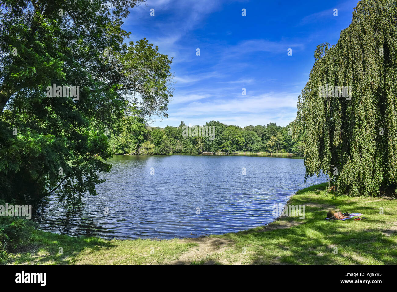 Bath lake, bath pond, Berlin, Germany, carp pond, lake, pond, Treptow ...