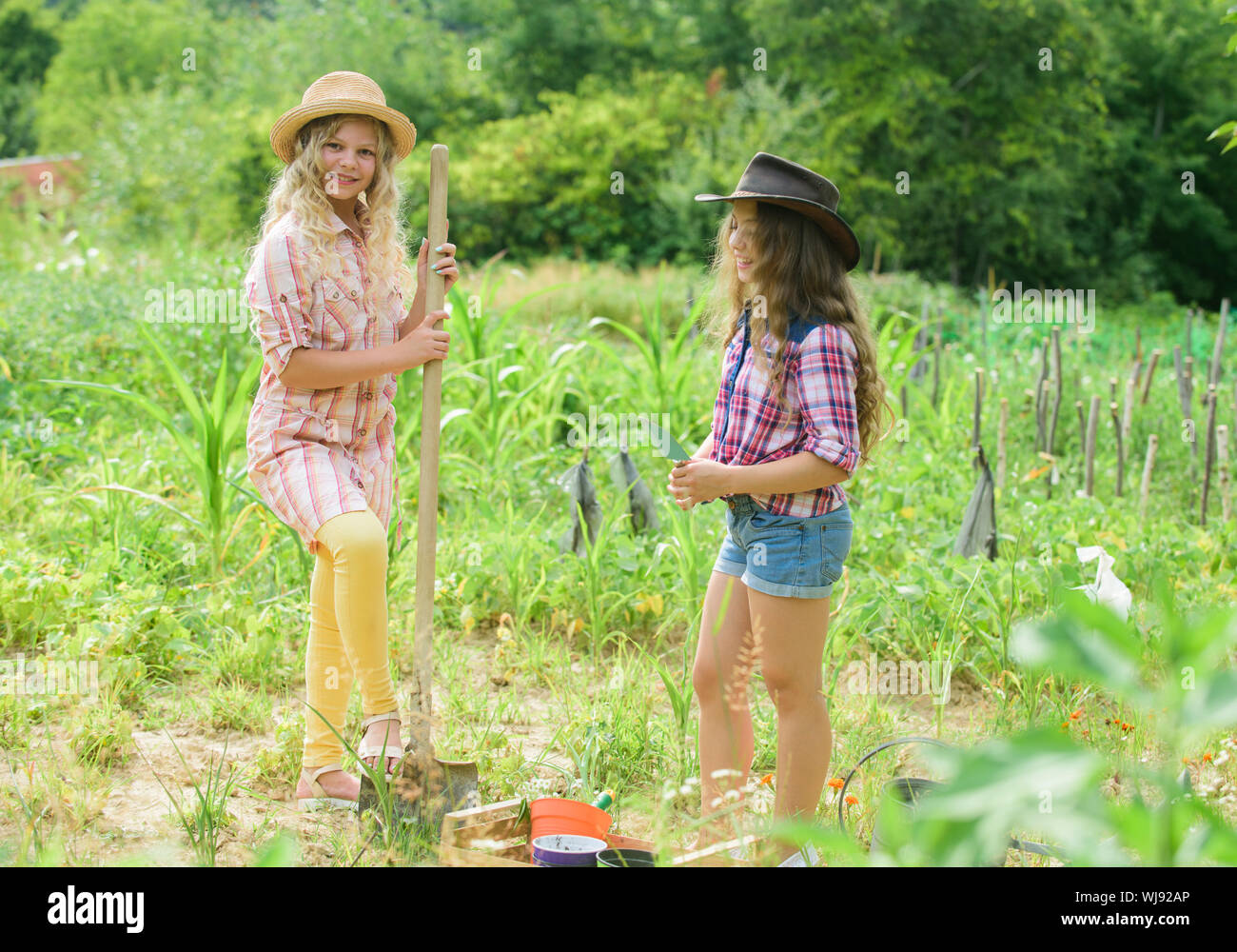 Agriculture concept. Growing vegetables. Hope for nice harvest. Sisters ...