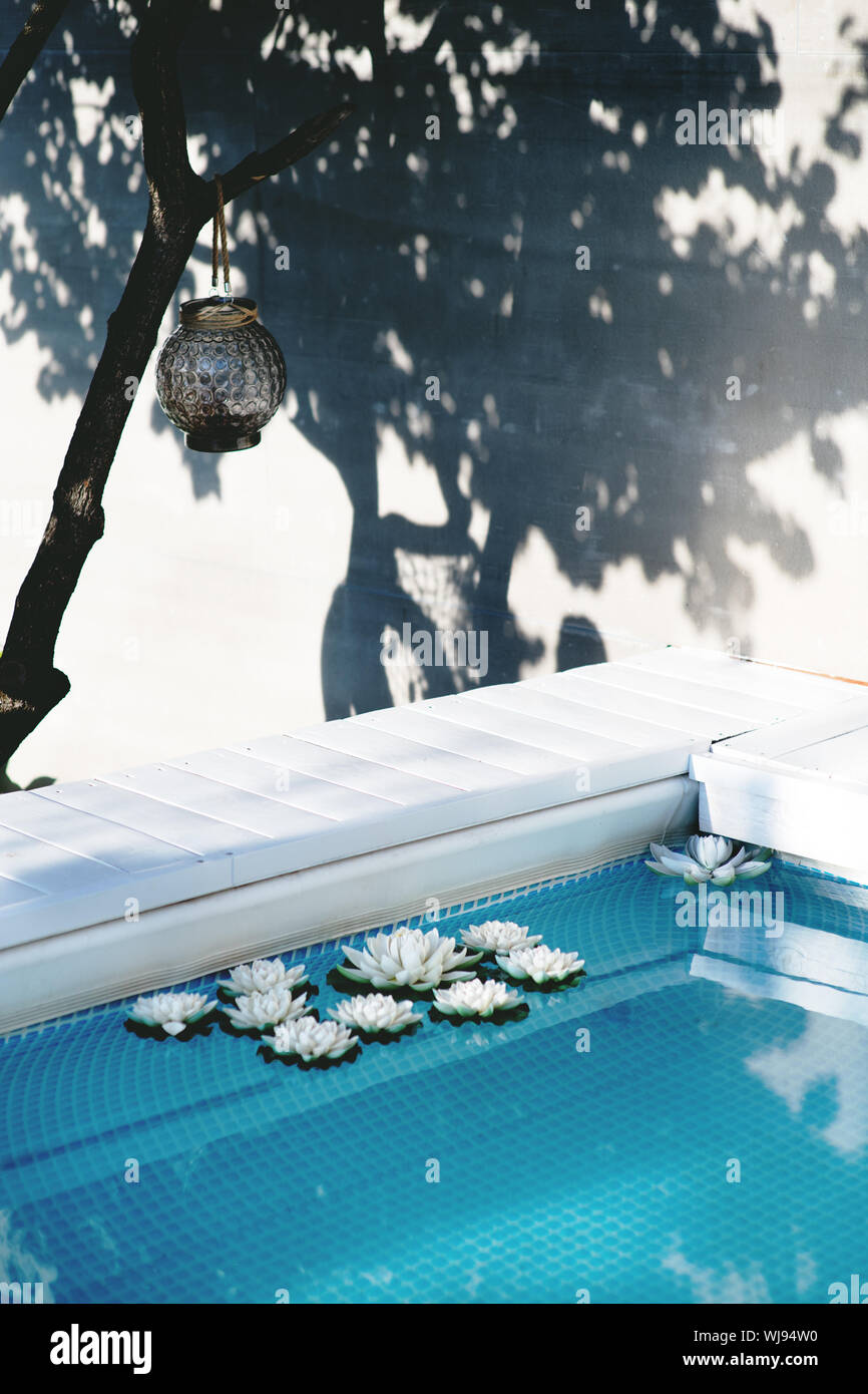 Beautiful lotus flower hi-res stock photography and images - Alamy