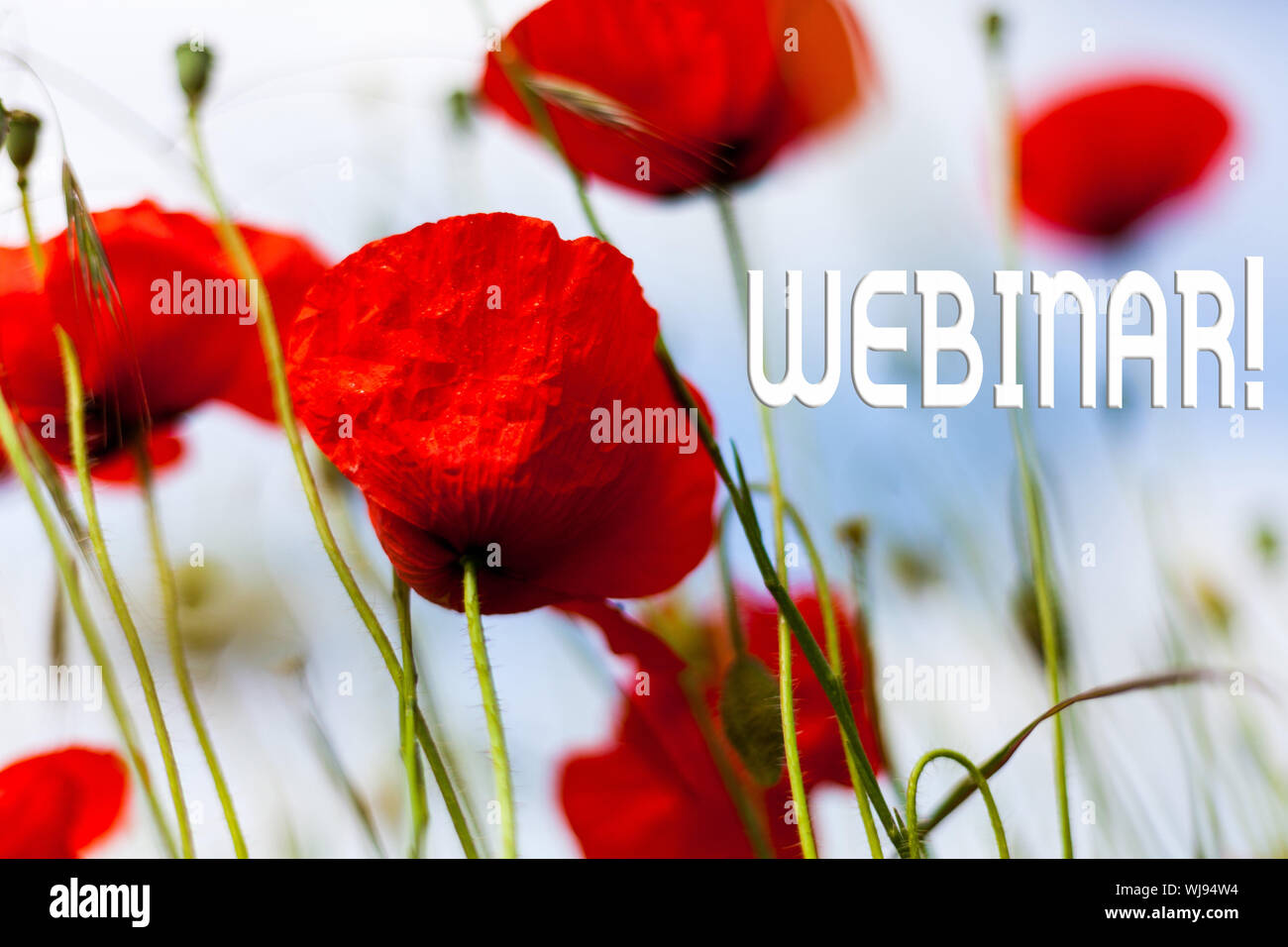 Writing note showing Webinar. Business concept for seminar or other ...