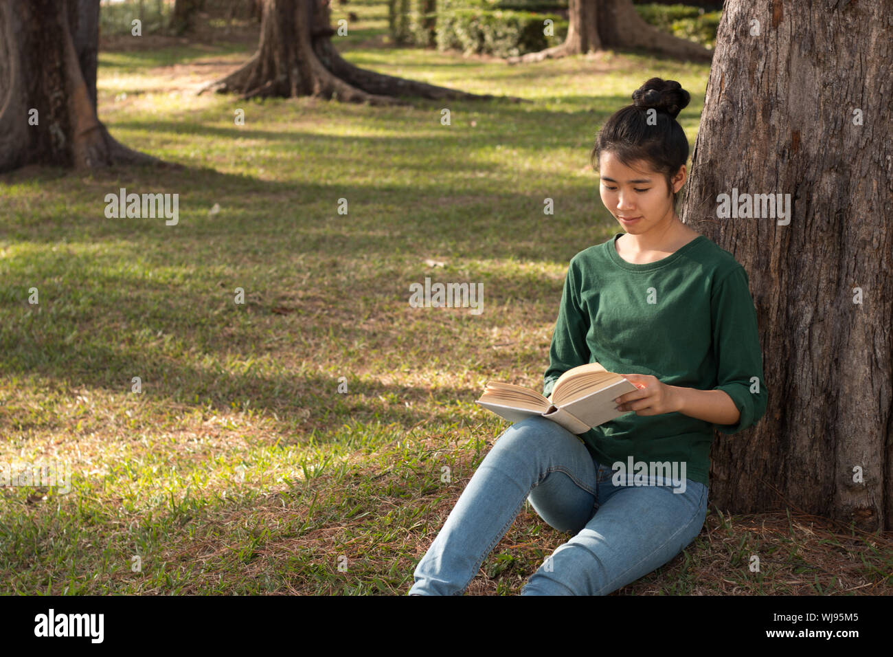 The leaning tree hi-res stock photography and images - Alamy