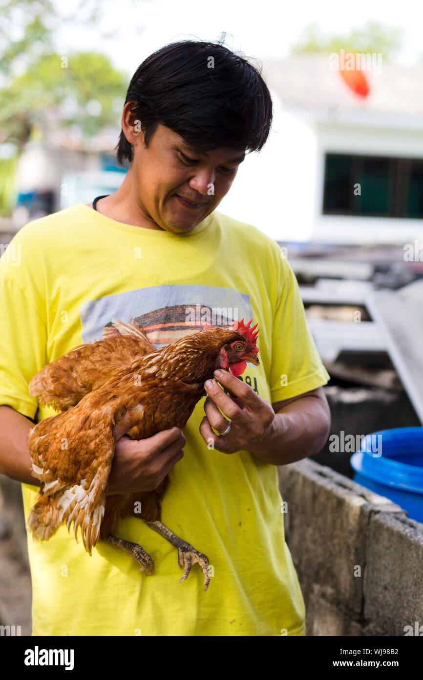 Hen care hi-res stock photography and images - Alamy