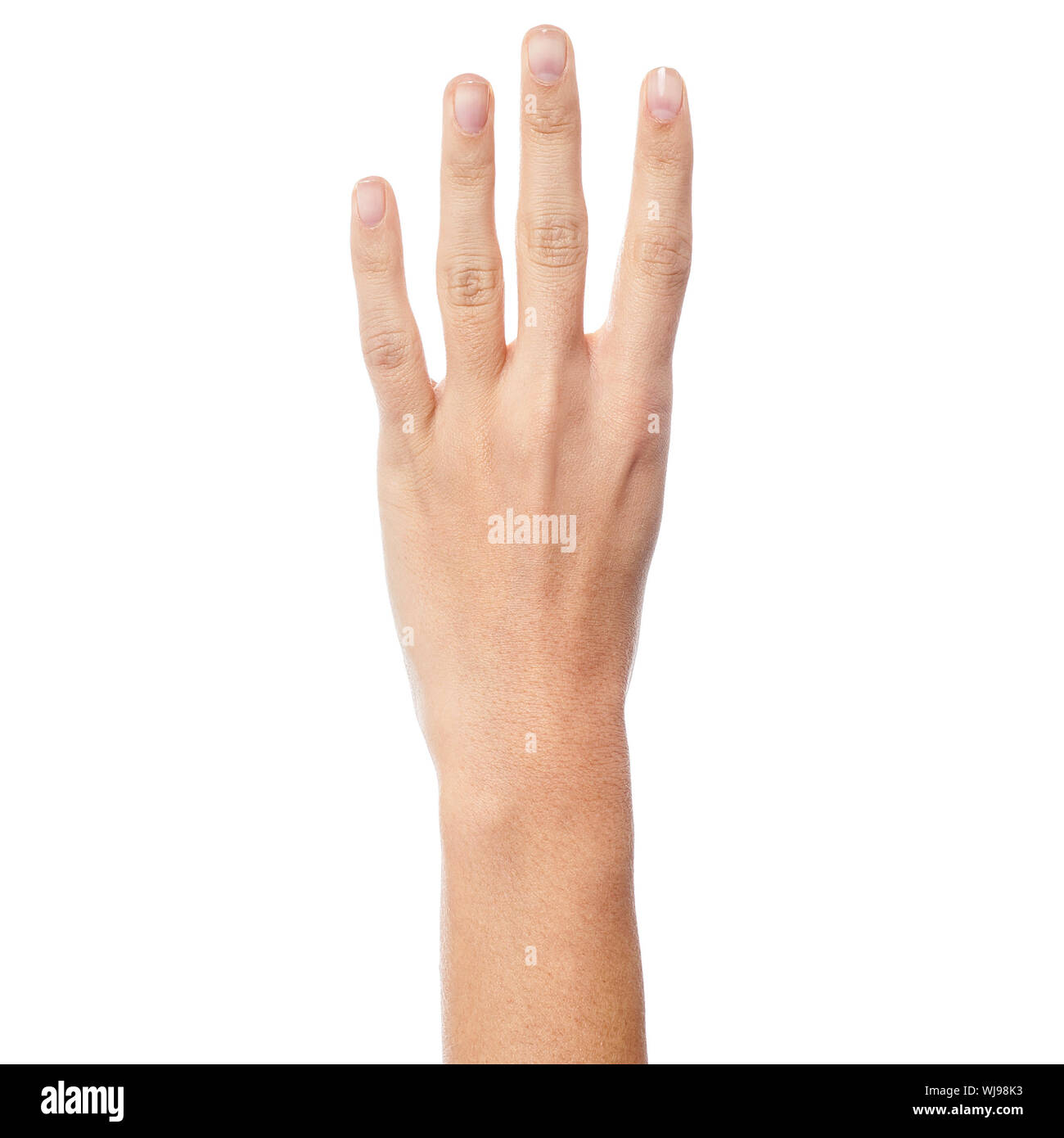 Female hand showing number four, white background Stock Photo - Alamy