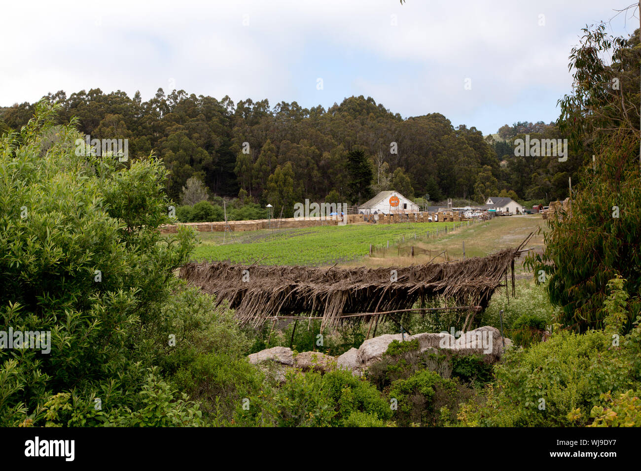 Half moon ocean cliffs beach hi-res stock photography and images - Alamy