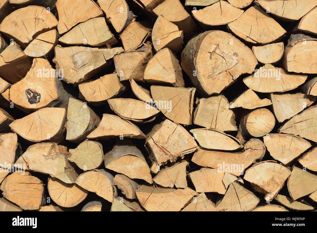 Harvested wood pile stacked Stock Photo - Alamy