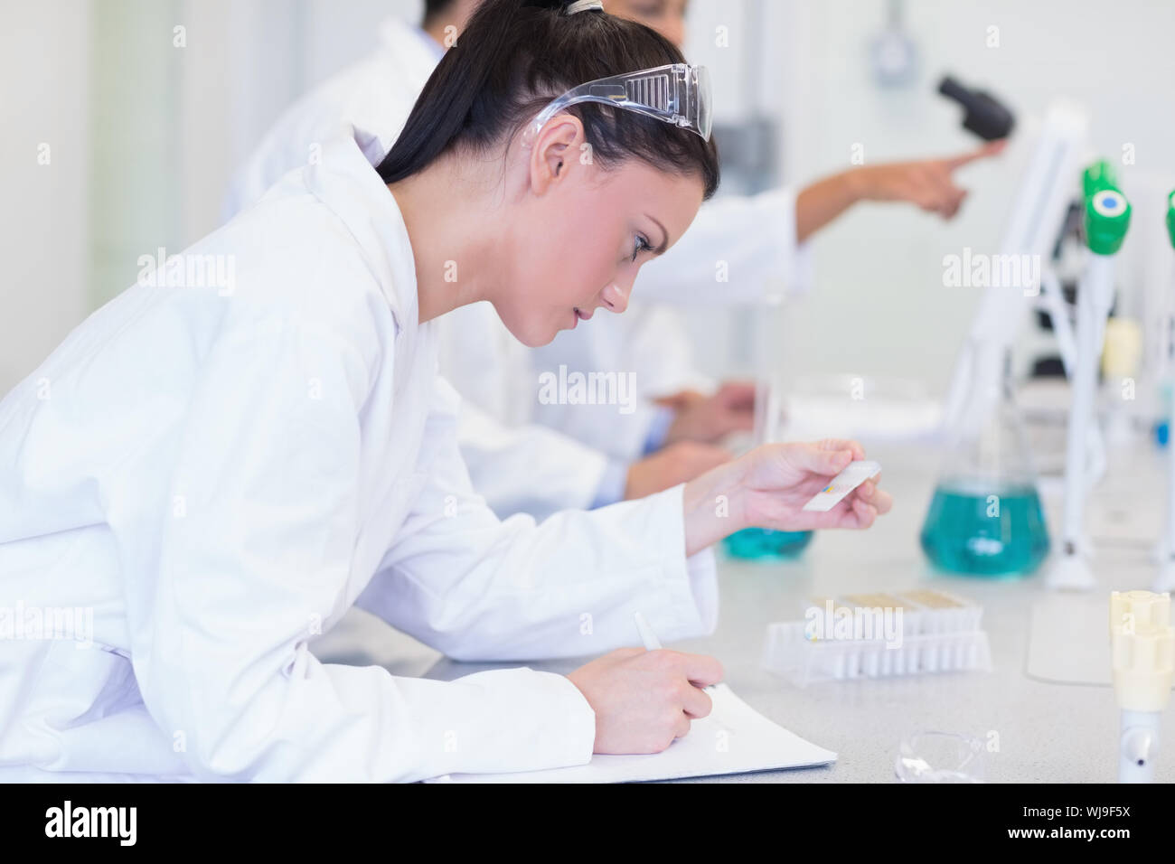 Side view of busy group of researchers working on experiments in the ...
