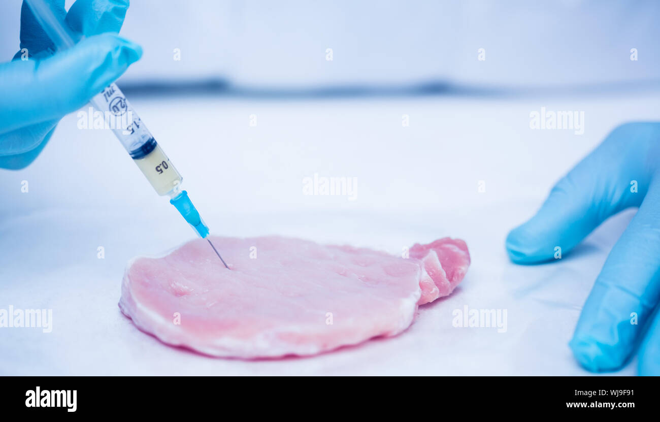 Close-up of gloved researcher's hands injecting meat against blurred ...