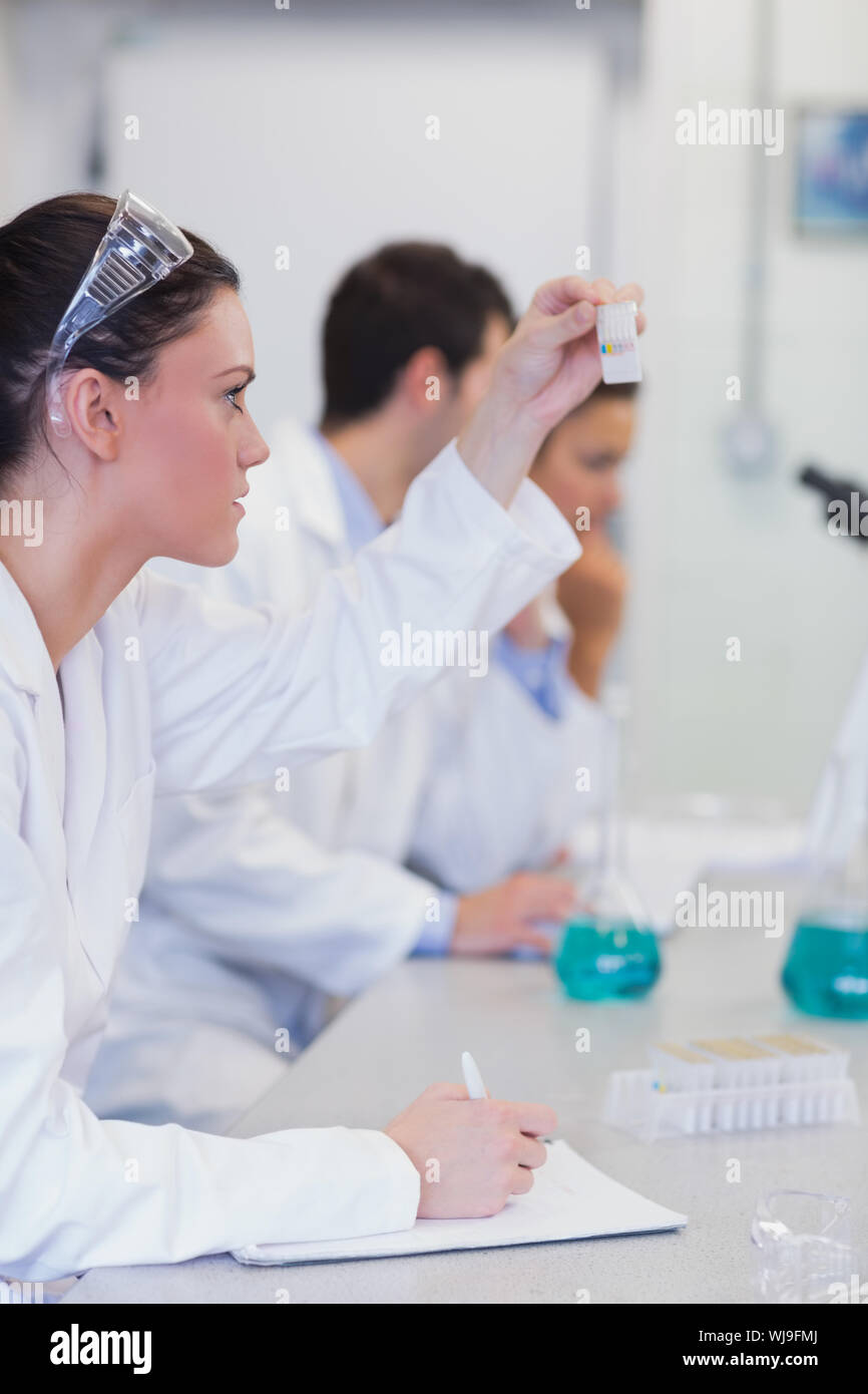 Side view of busy group of researchers working on experiments in the ...