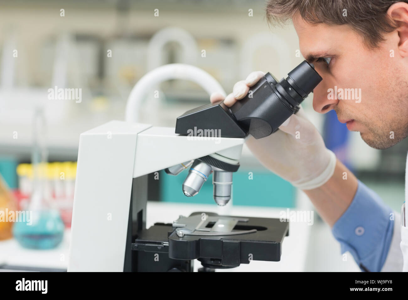 Close-up side view of a male scientific researcher using microscope in ...