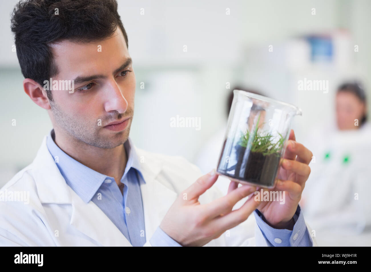 Plant laboratory laboratory woman examine hi-res stock photography and ...
