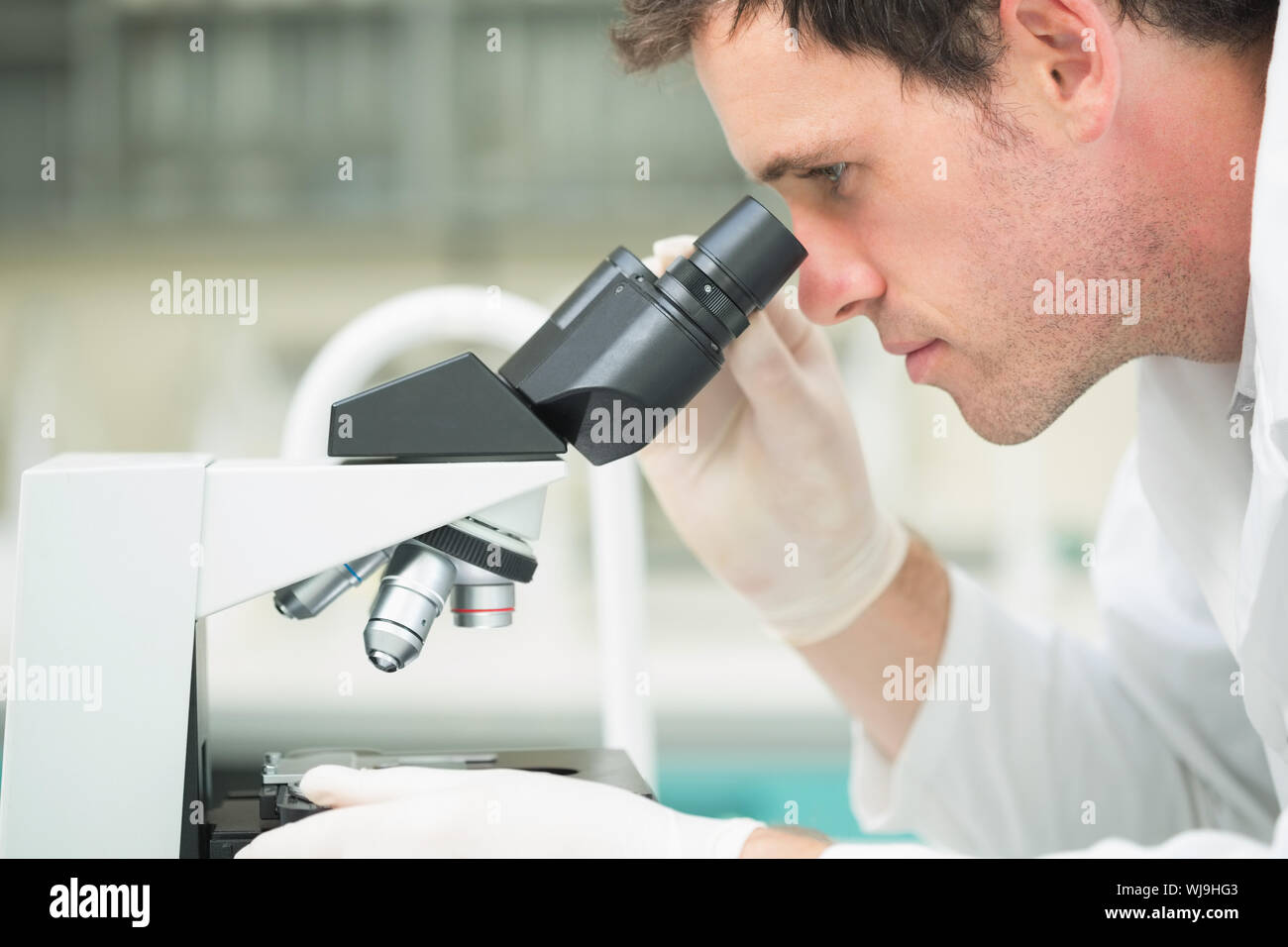 Side view close-up of a male scientific researcher using microscope in ...