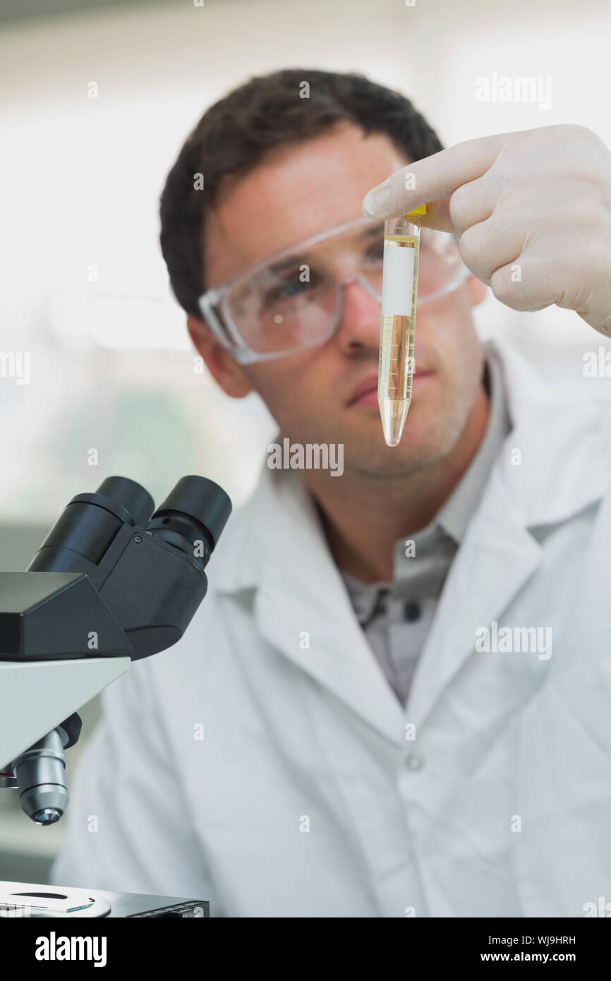 Close-up of a male scientific researcher looking at test tube while ...