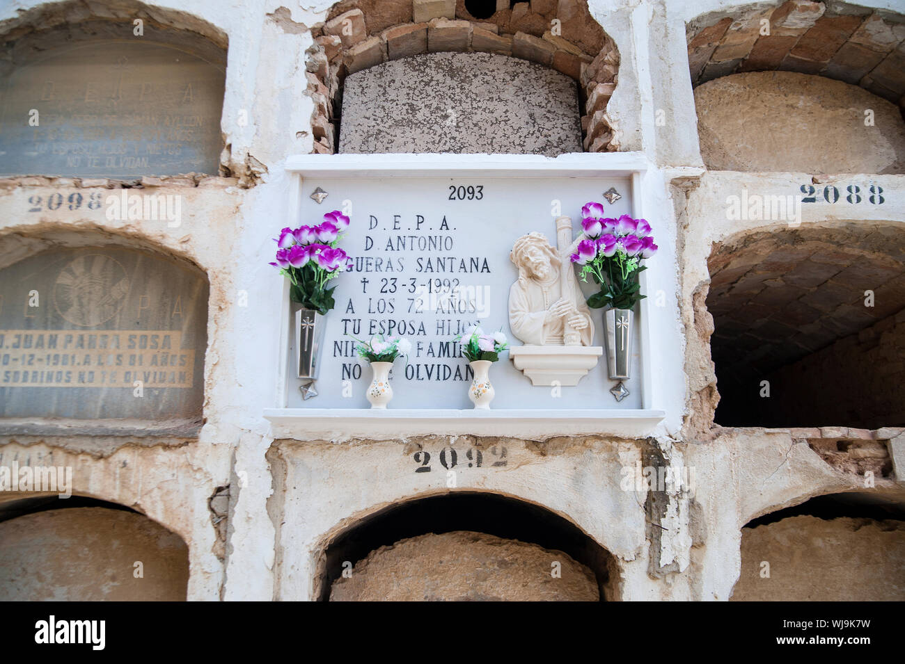 Seville flowers hi-res stock photography and images - Alamy
