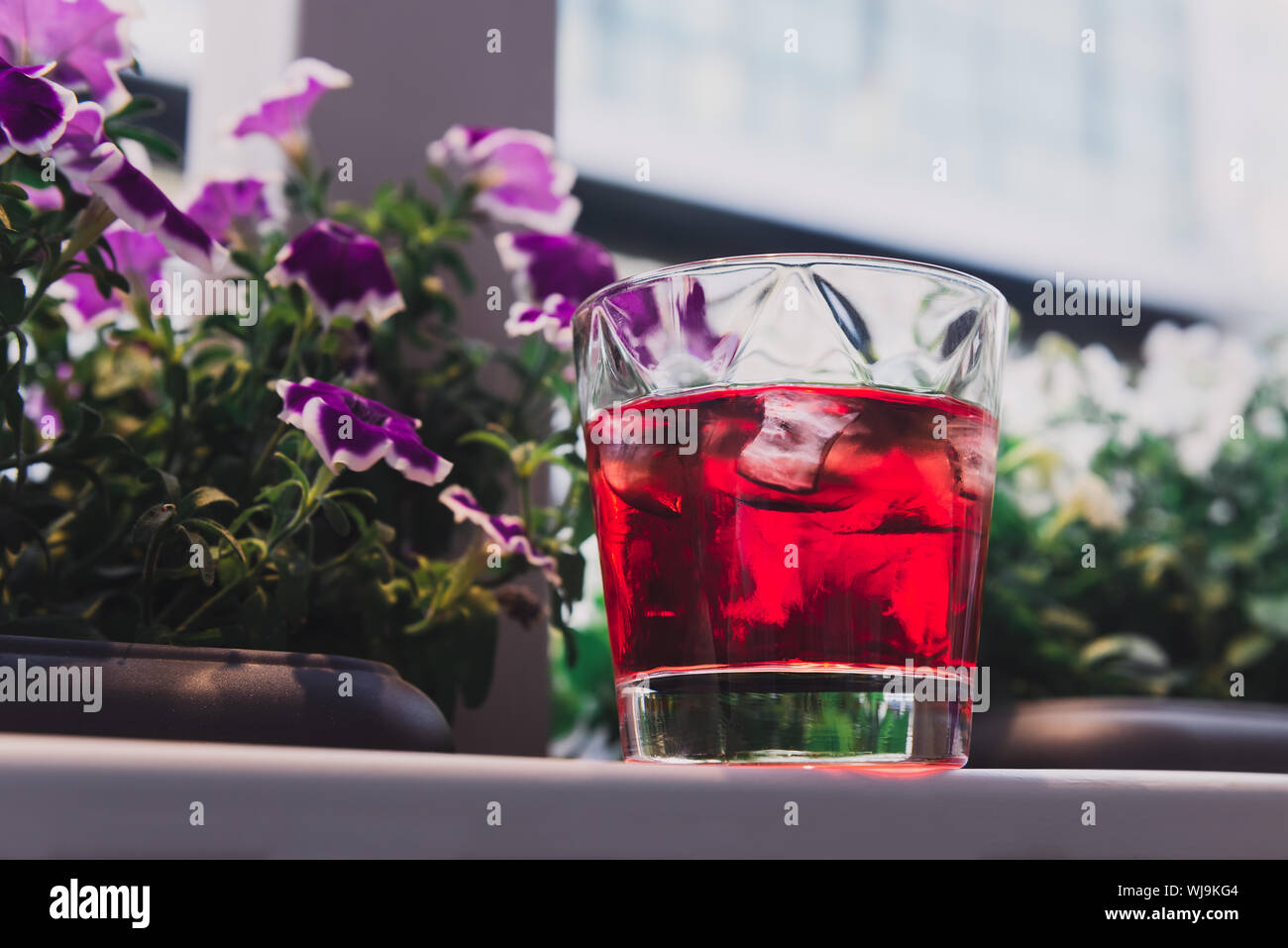 Negroni cocktail garden hi-res stock photography and images - Alamy