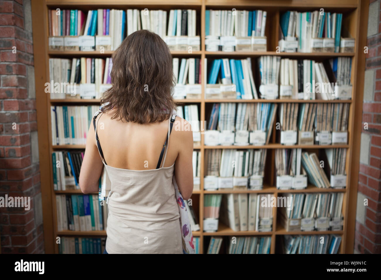 Rear view of a female student looking at bookshelf in the library Stock ...