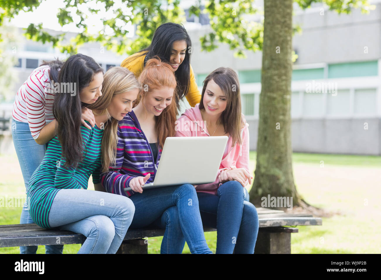 Group of young college girls using laptop in the park Stock Photo - Alamy