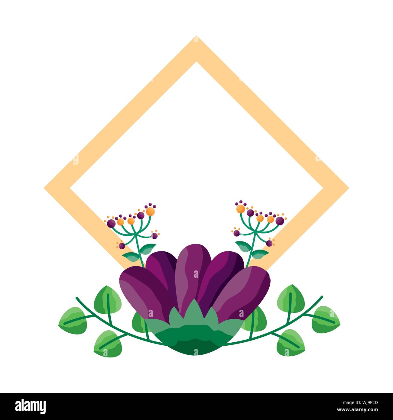 Isolated flowers frame vector design Stock Vector Image & Art - Alamy